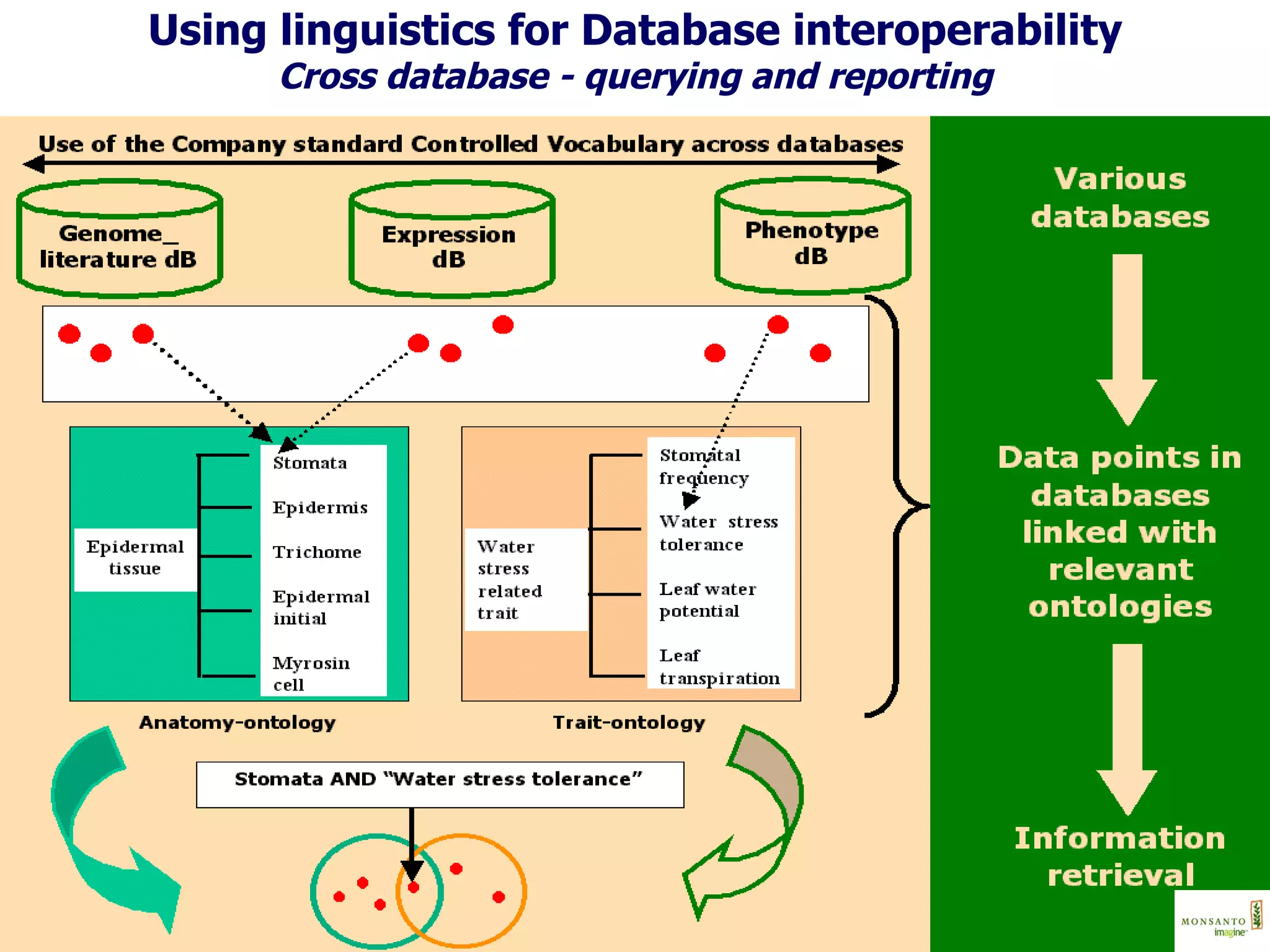 Ontology Development And Use For Efficient Information Input And Retrieval Ppt