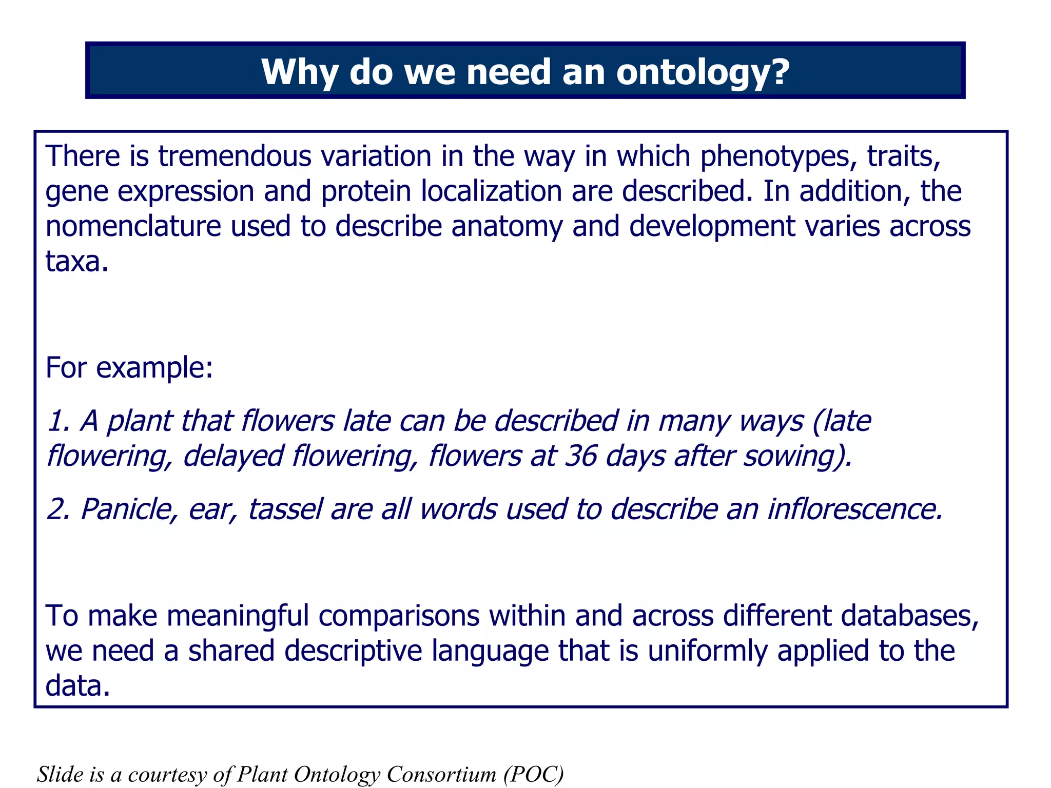 Ontology development and use for efficient information input and retrieval | PPT