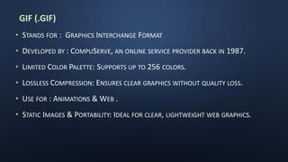 Ontology of Heterogeneous Image File Formats.pdf
