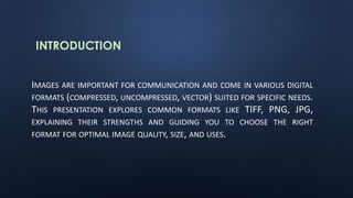 Ontology of Heterogeneous Image File Formats.pdf