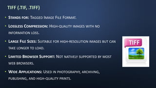 Ontology of Heterogeneous Image File Formats.pdf