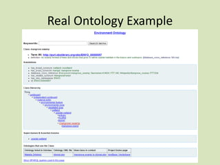 Ontological Support of Data Discovery and Synthesis in Estuarine and ...