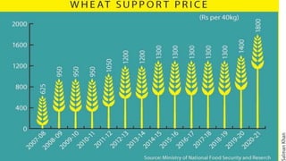 On Wheat Price Support Policy.pptx