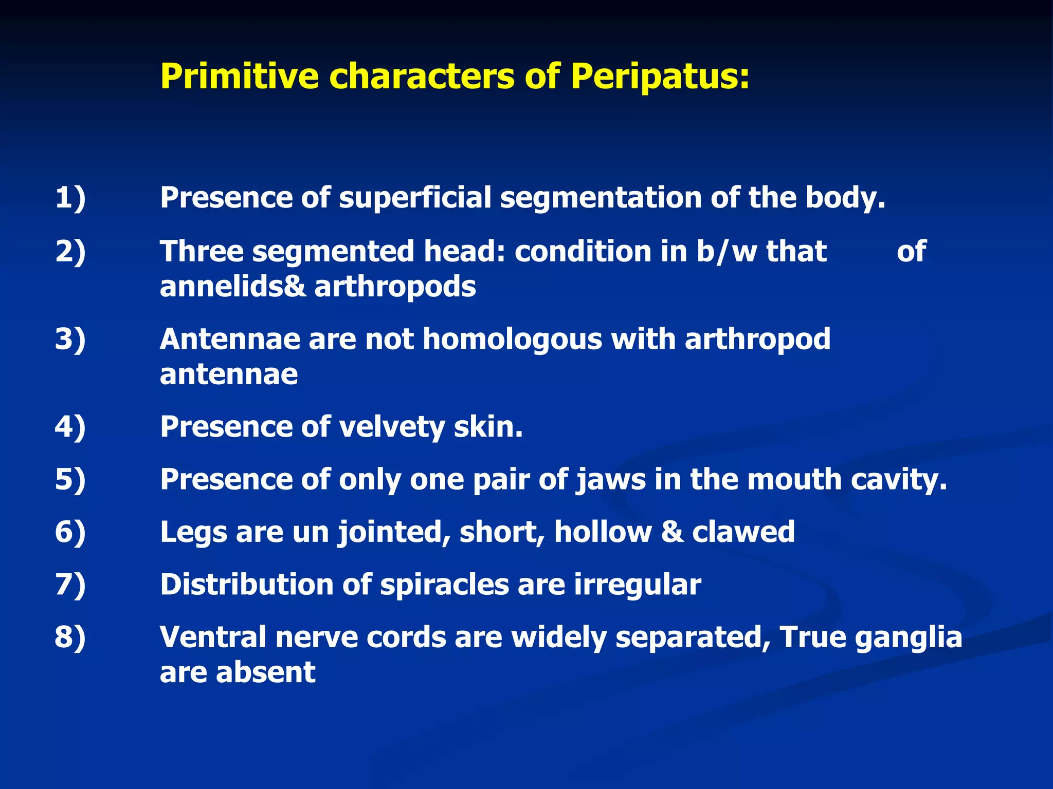 Phylum : Onychophora | PPT