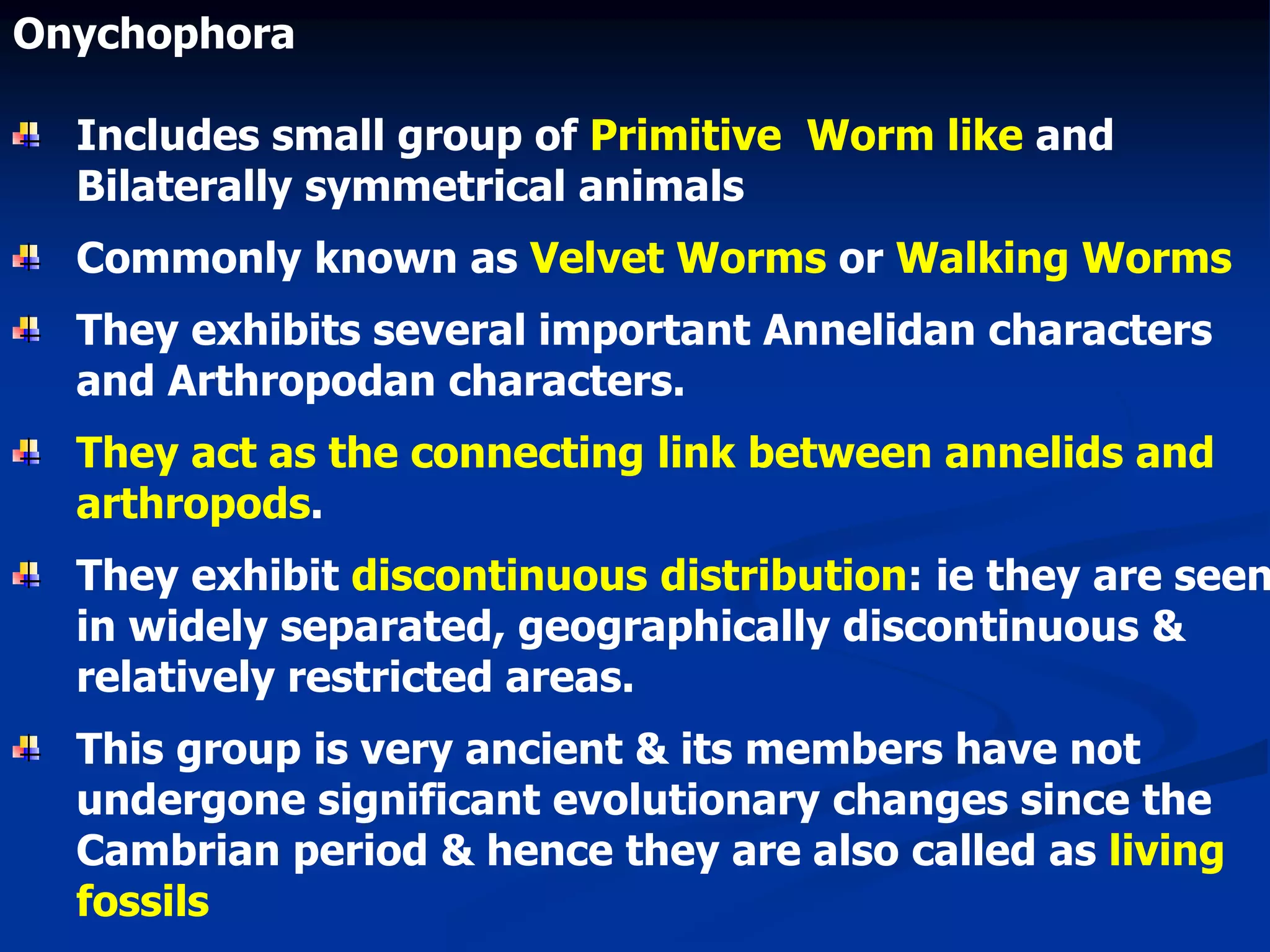 Phylum : Onychophora | PPT