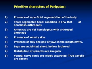 Phylum : Onychophora | PPT