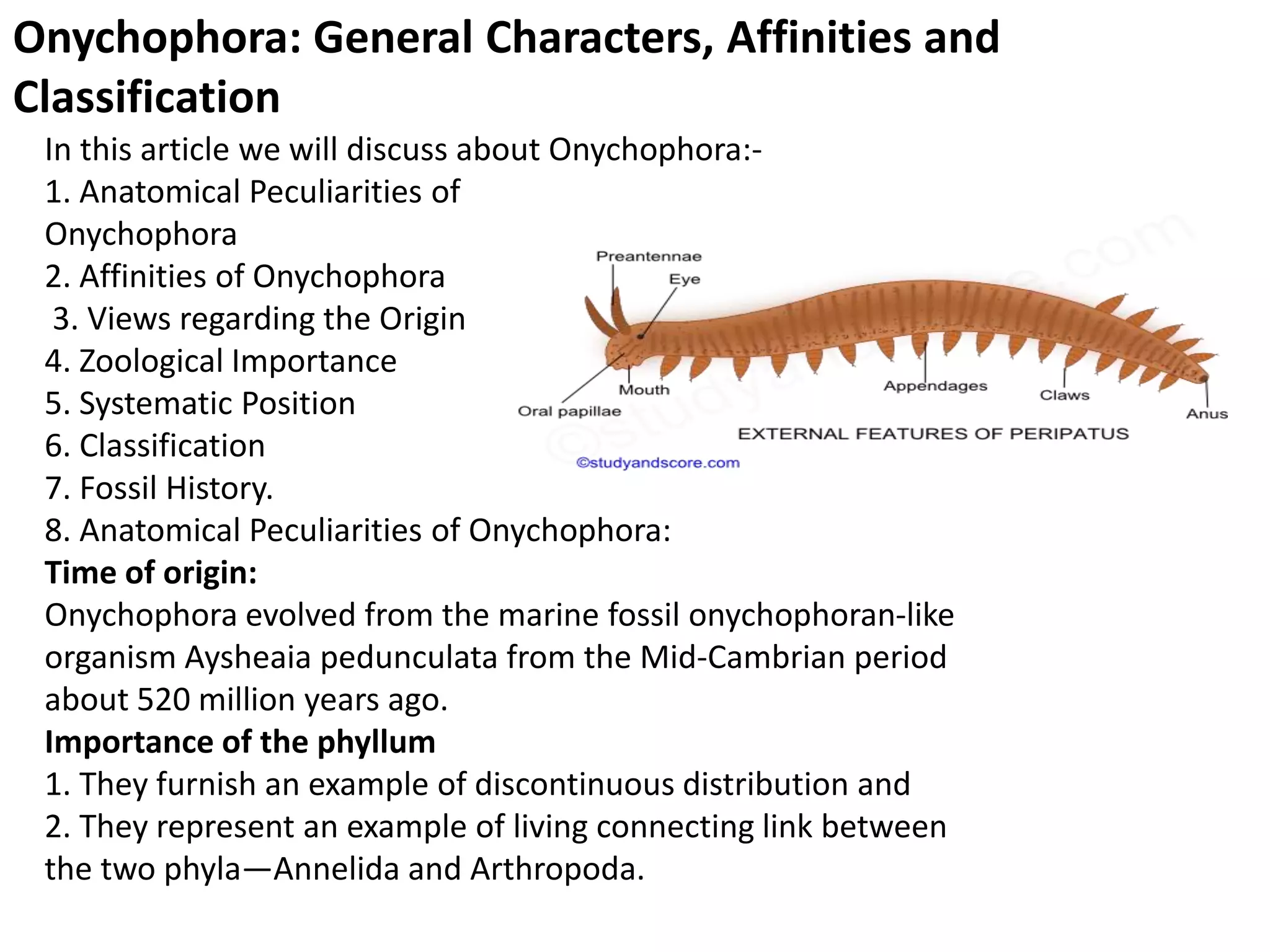 Onychophora A detailed note | PPTX