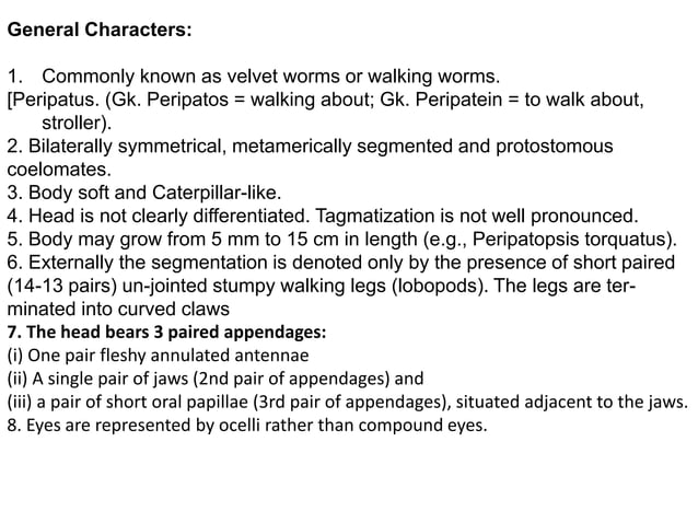 Onychophora A detailed note | PPTX