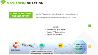 ONYDA XR clonidine liquid preparation by Dr. Amrutha | PPT