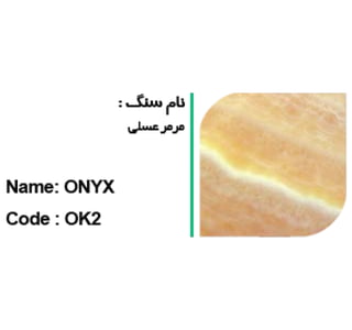 Onyx | PDF