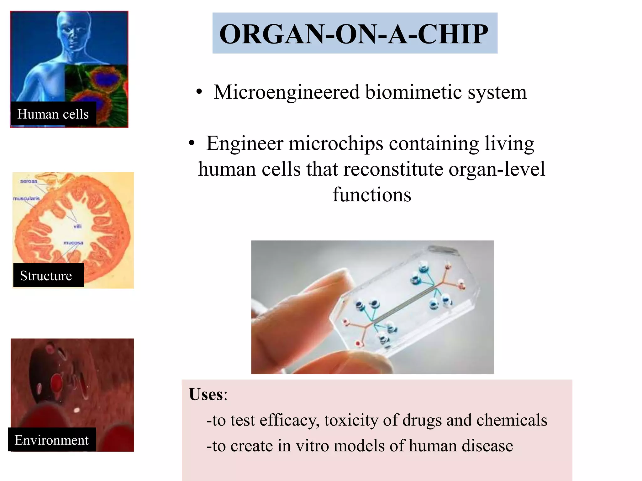 Organ on a chip- replacement of laboratory animal | PPTX