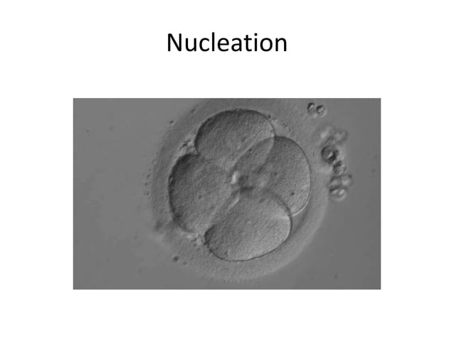 Oocyte and Embryo Grading blastocyst grading.pptx