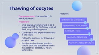 oocyte cryopreservation in the IVF lab.pptx