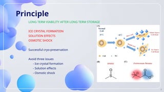 oocyte cryopreservation in the IVF lab.pptx