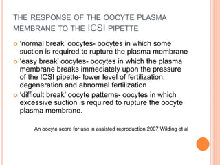 Oocyte grading.pptx... dhsvsusvshshhshsh | PPTX