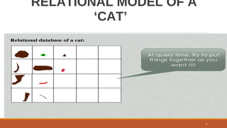 Object Oriented Database Management System | PPT
