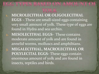 Oogenesis | PPTX | Infertility | Reproductive Health