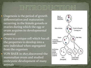 Oogenesis And Spermatogenesis In Fish