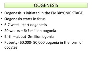 Oogenesis | PPT