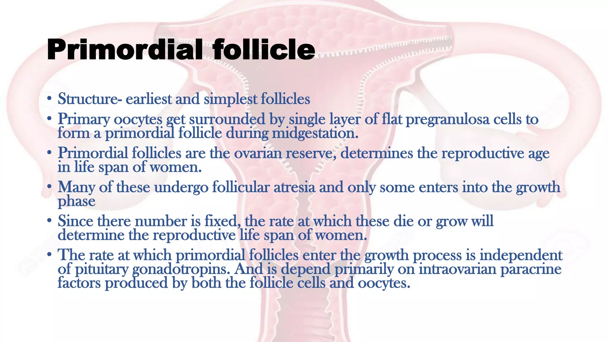 Oogenesis and follicular development Part 1 I Endocrine Physiology I | PDF