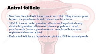 Oogenesis and follicular development Part 1 I Endocrine Physiology I | PDF