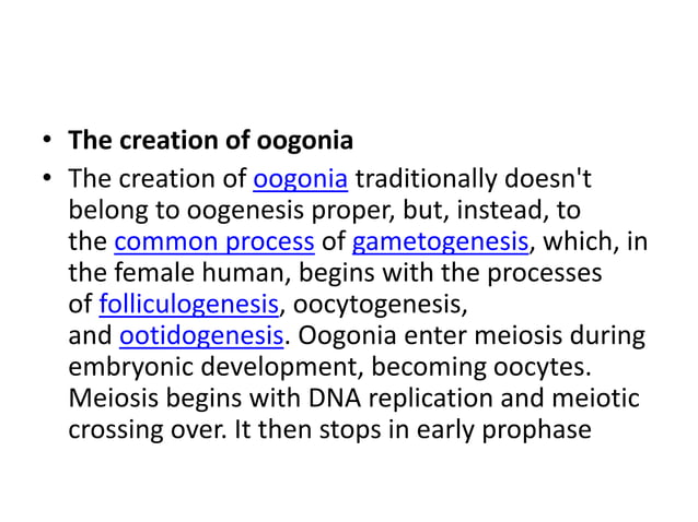 Oogenesis