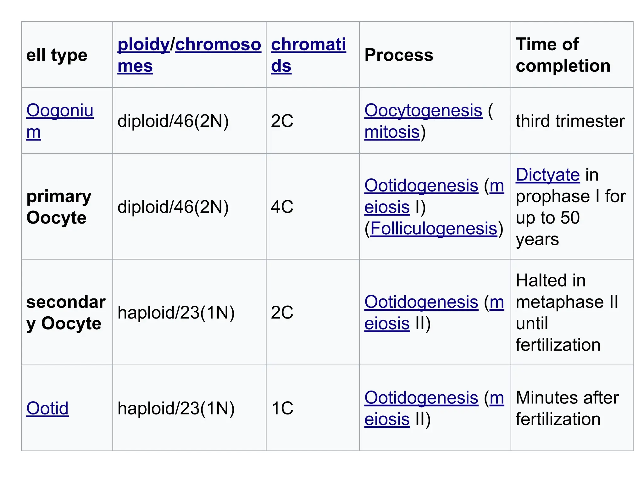 OOGENESIS. Class XII Biology presentation | PDF