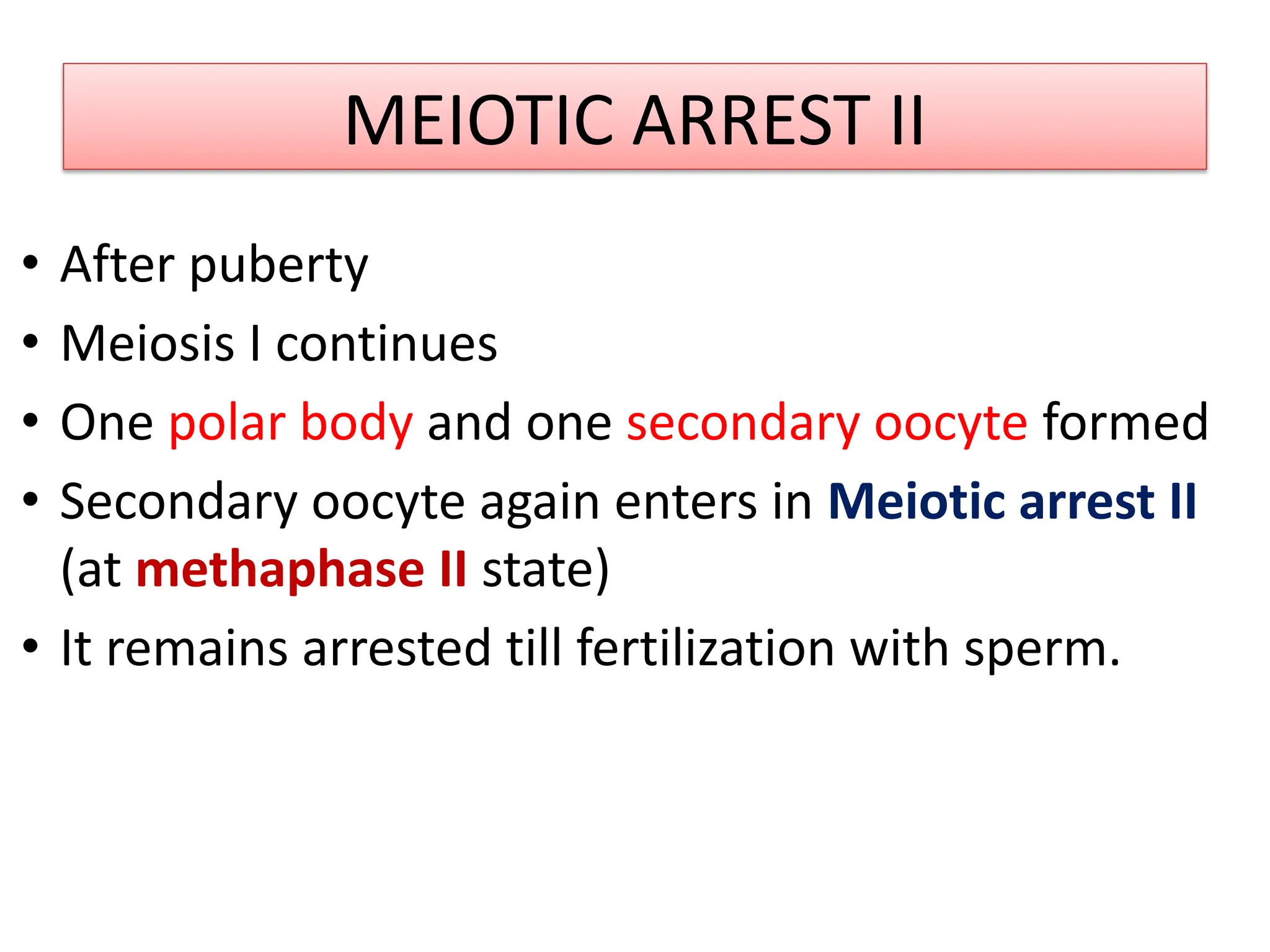 OOGENESIS. Class XII Biology presentation | PDF
