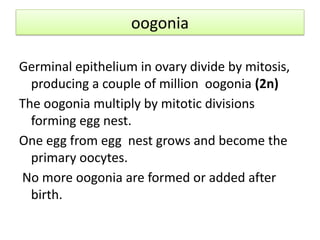 OOGENESIS. Class XII Biology presentation | PDF