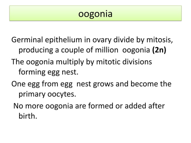 OOGENESIS. Class XII Biology presentation | PDF | Infertility ...