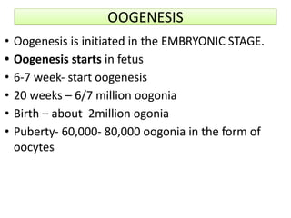 OOGENESIS. Class XII Biology presentation | PPT