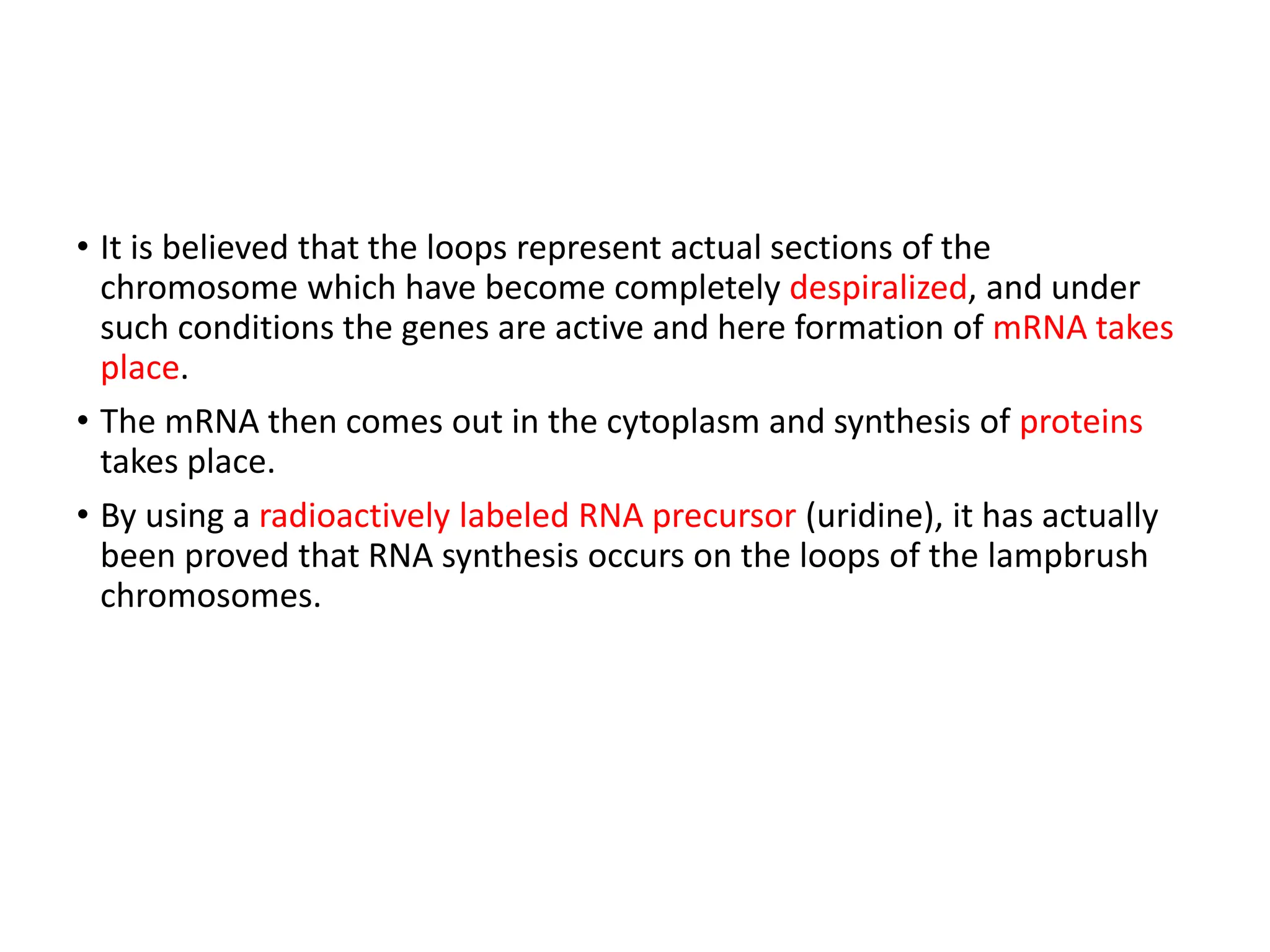 Structure of Ovum, Oogenesis and menstrual cycle.pptx