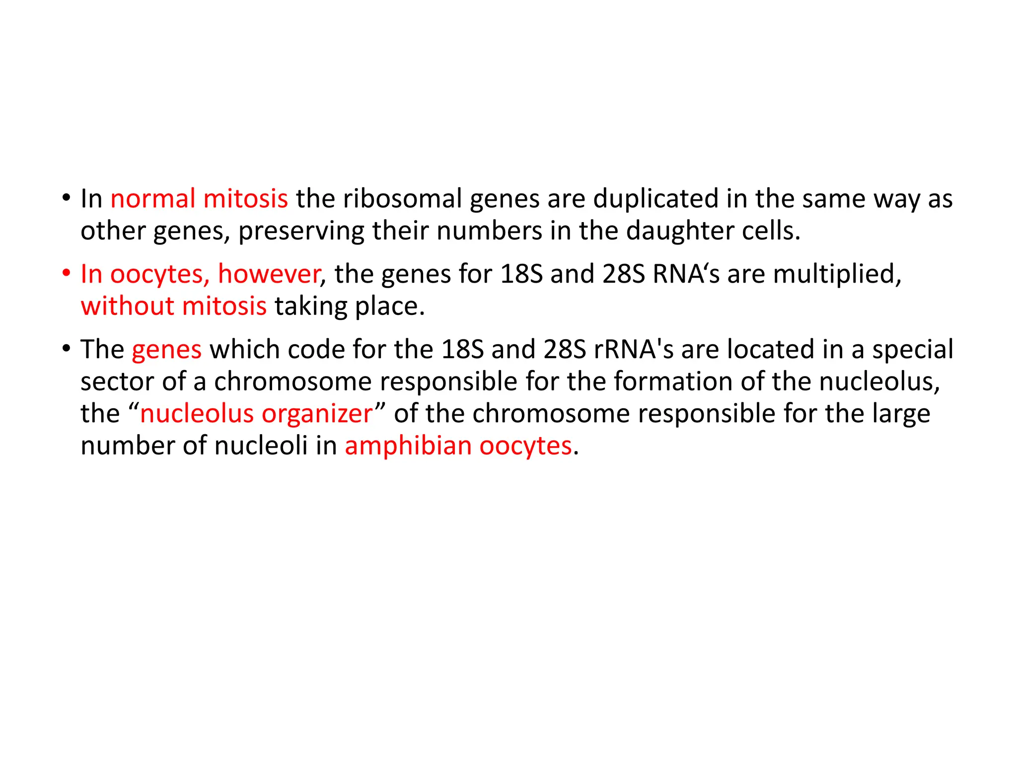 Structure of Ovum, Oogenesis and menstrual cycle.pptx