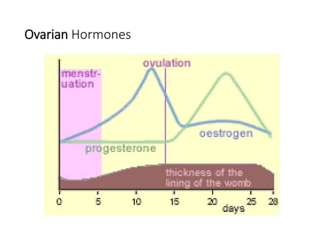 Structure of Ovum, Oogenesis and menstrual cycle.pptx