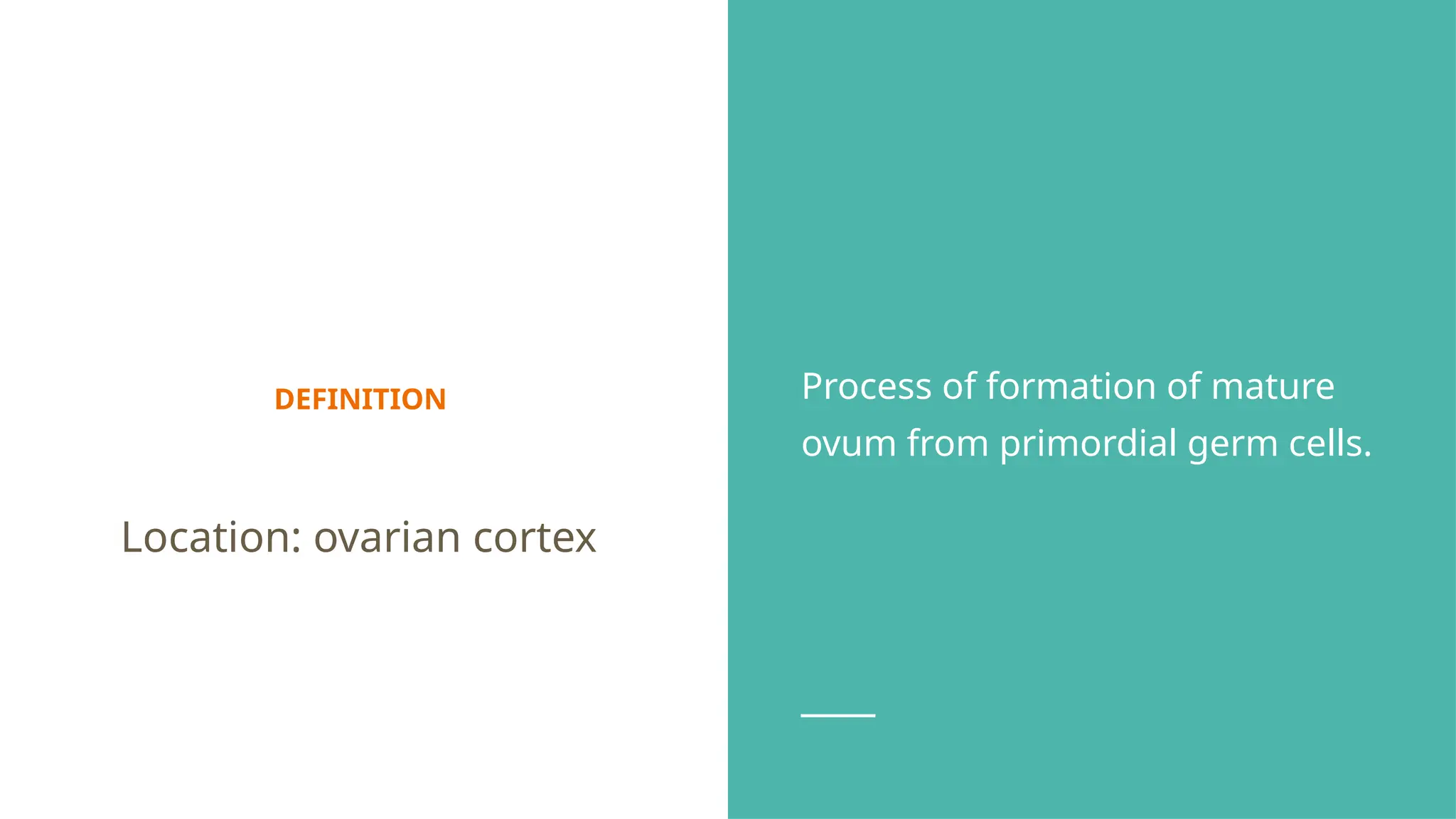 TOPIC ABOUT OOGENESIS PROCESS (EMBRYOLOGY) | PPTX
