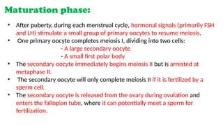 The Biology of Oogenesis: From Oogonium to mature ovum.pptx