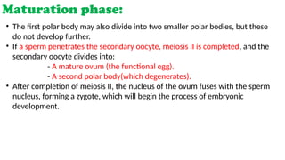 The Biology of Oogenesis: From Oogonium to mature ovum.pptx
