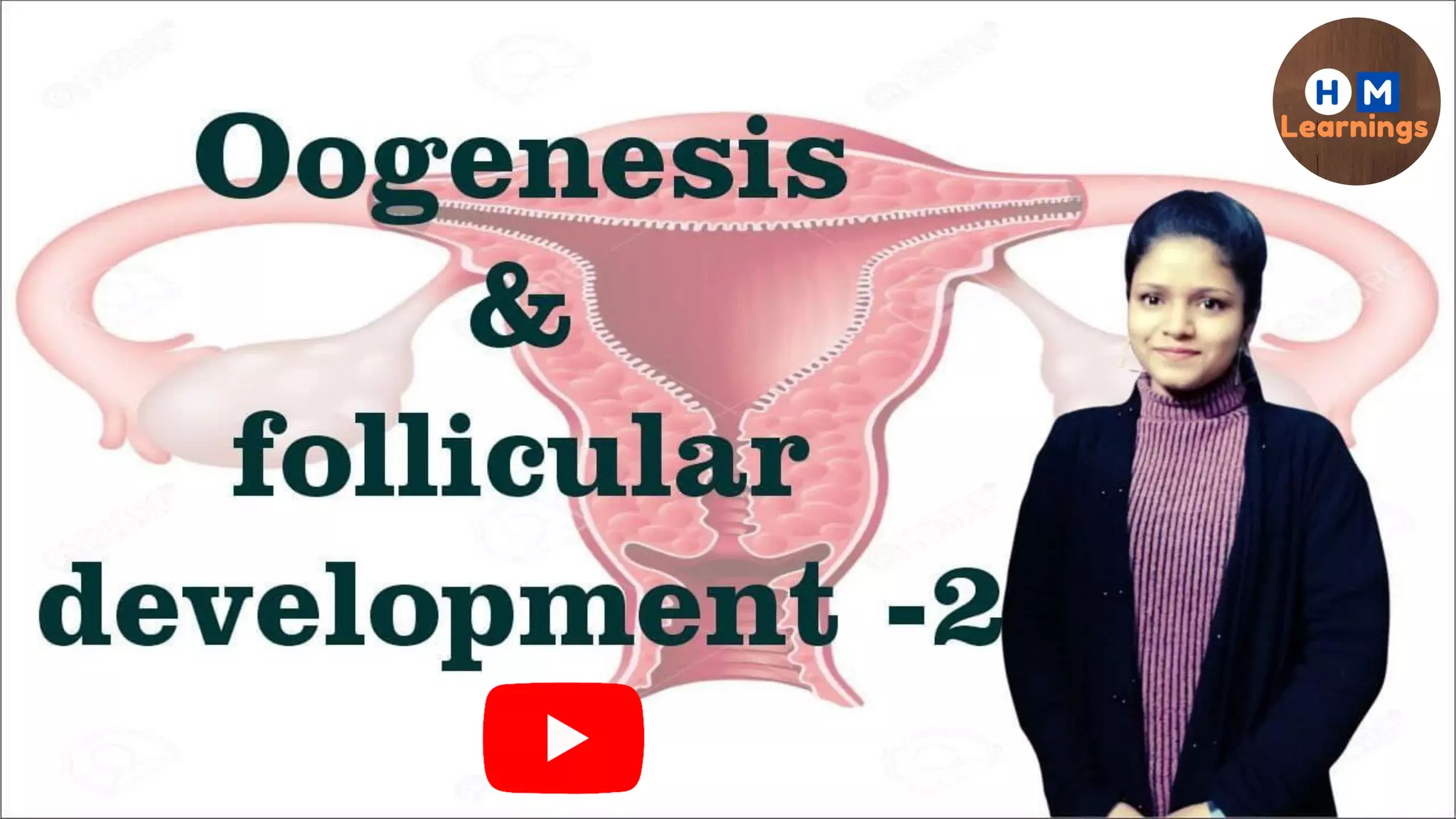Oogenesis and follicular development Part 2 I Endocrine Physiology I | PDF
