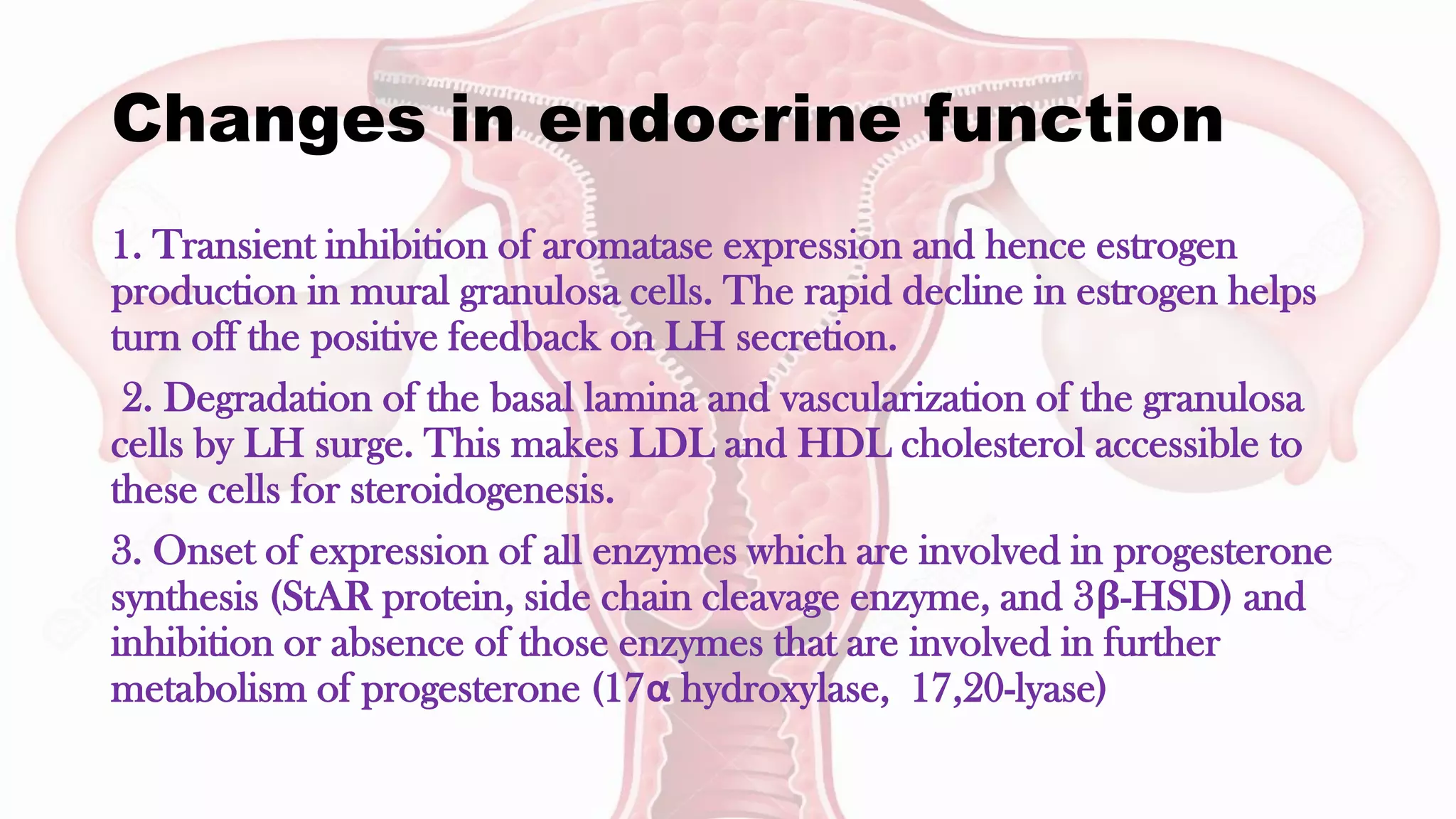 Oogenesis and follicular development Part 2 I Endocrine Physiology I | PDF