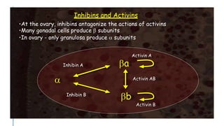 OOGENESIS,FOLLICULOGENESIS & OVULATON .pptx