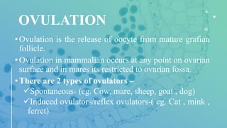 OOGENESIS,FOLLICULOGENESIS & OVULATON .pptx