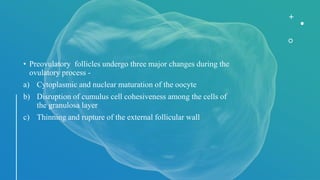 OOGENESIS,FOLLICULOGENESIS & OVULATON .pptx