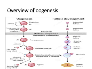 Oogenesis and associated notes to students..pptx