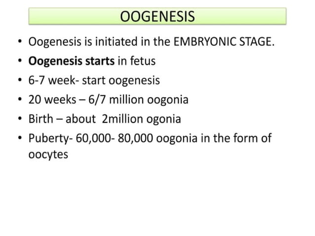 Oogenesis and associated notes to students..pptx