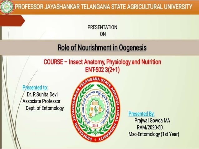Oogenesis in Insects, Histology, Types of Ovarioles & Nourishment.pptx ...