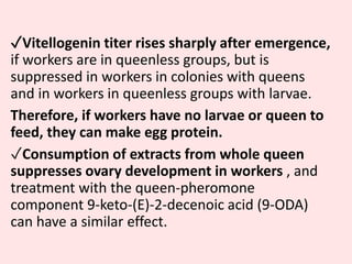 Oogenesis in Insects, Histology, Types of Ovarioles & Nourishment.pptx
