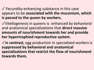 Oogenesis in Insects, Histology, Types of Ovarioles & Nourishment.pptx