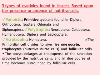 Oogenesis in Insects, Histology, Types of Ovarioles & Nourishment.pptx