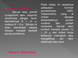 Oogenesis pada ikan | PPTX