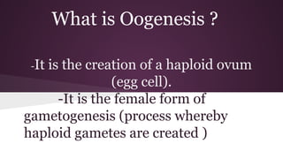 Oogenesis short introduction | PDF | Infertility | Reproductive Health